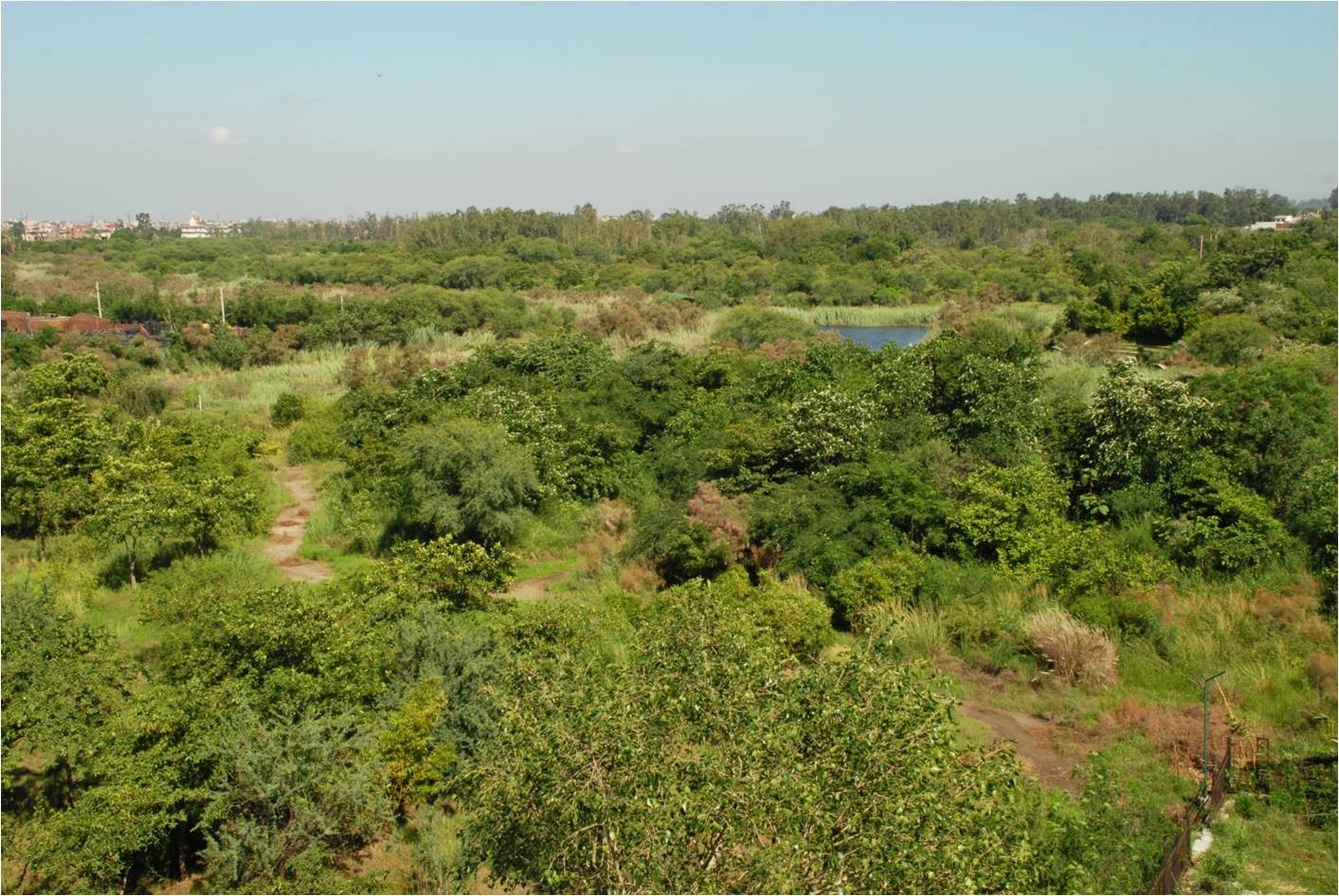 Biodiversity parks for building climate resilience in urban centres ...