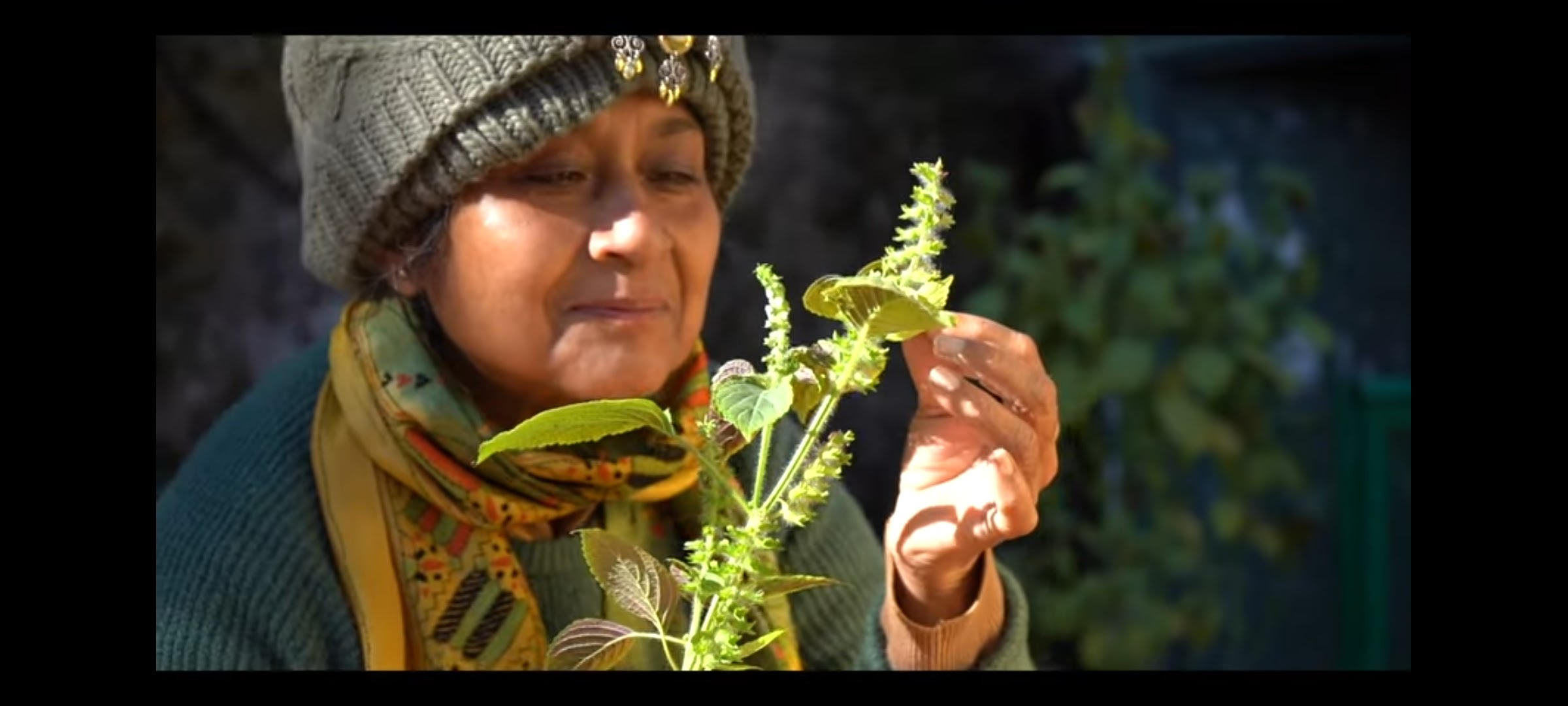 ‘Human skin & soul benefit most from simple natural processes’ - Tree Take